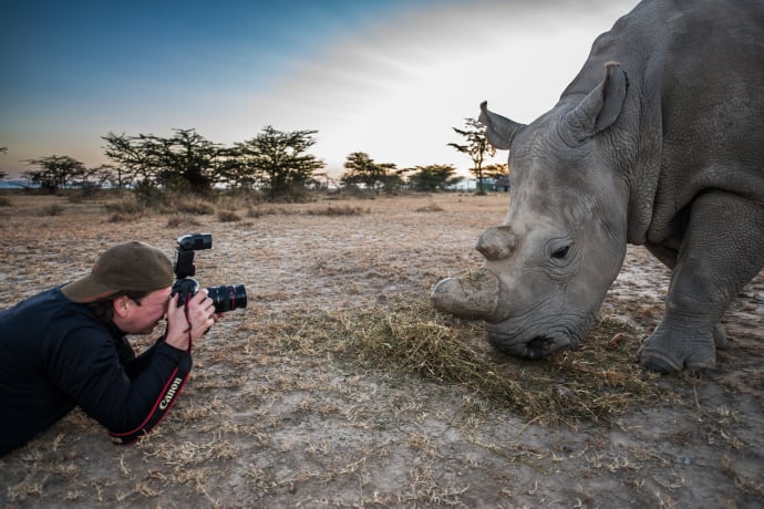 TUI inviterer til Facebook Live-sending om dyrs velferd - InsideFlyer NO